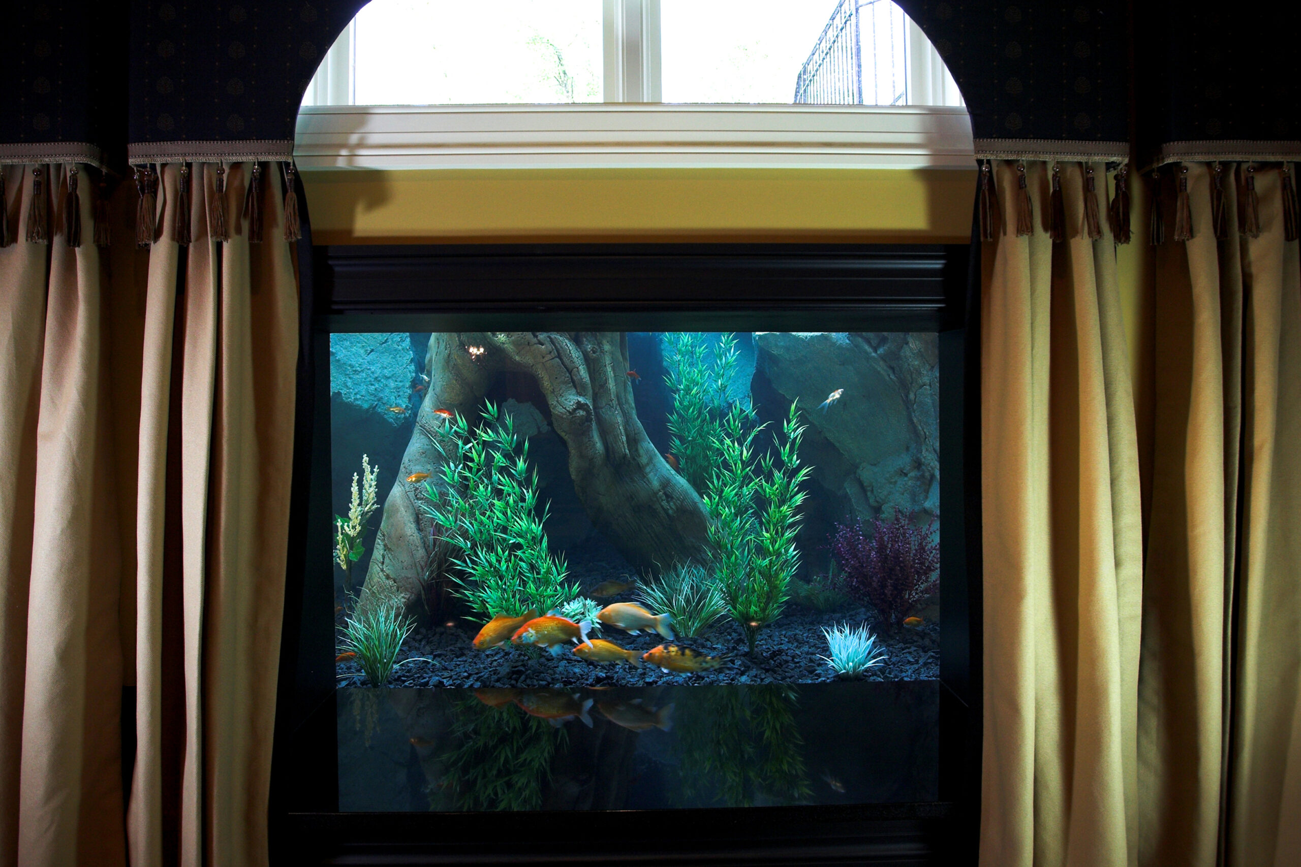 Underwater Viewing Windows - Shehan Pools